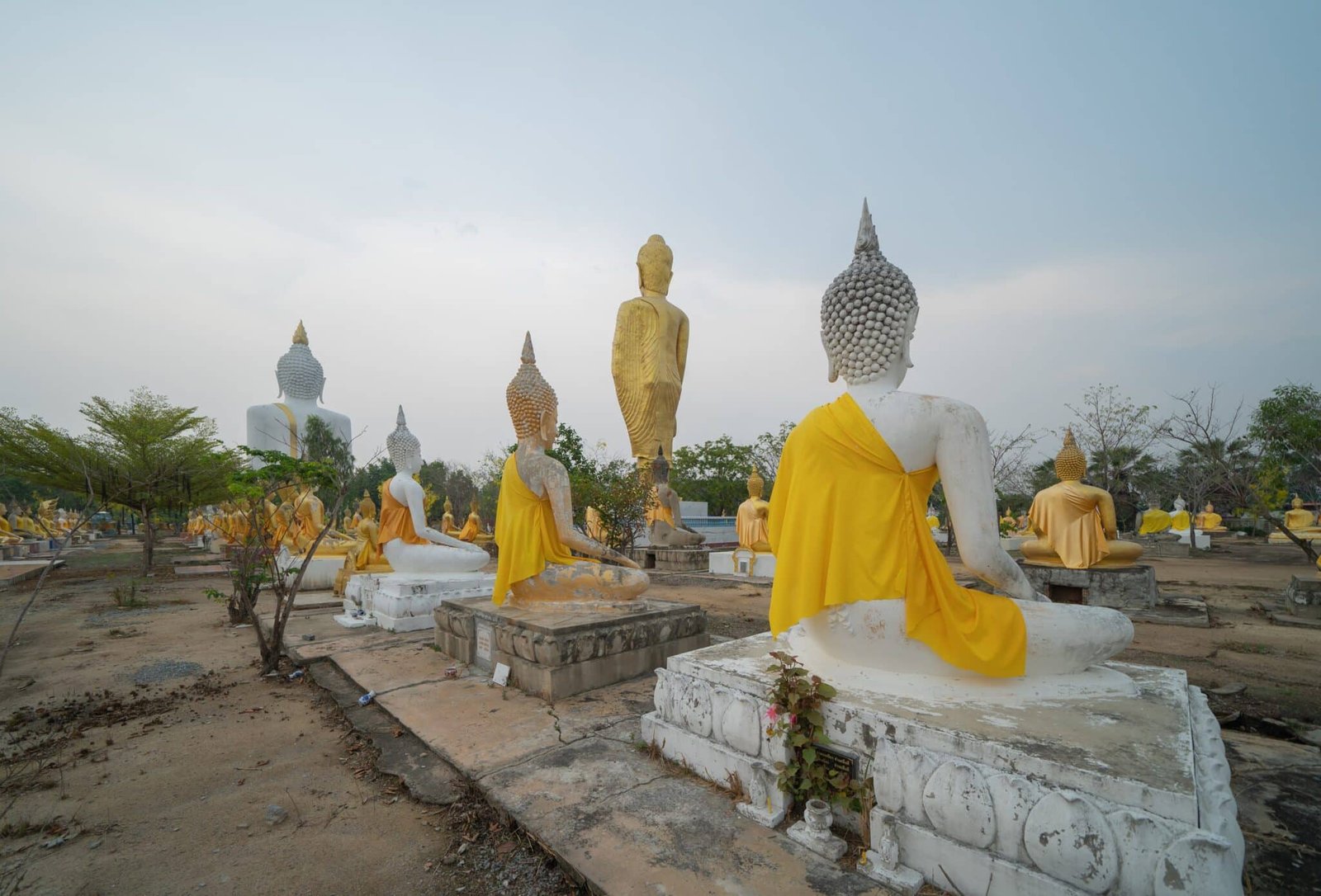 The last 28 Buddha - Buddha Temples